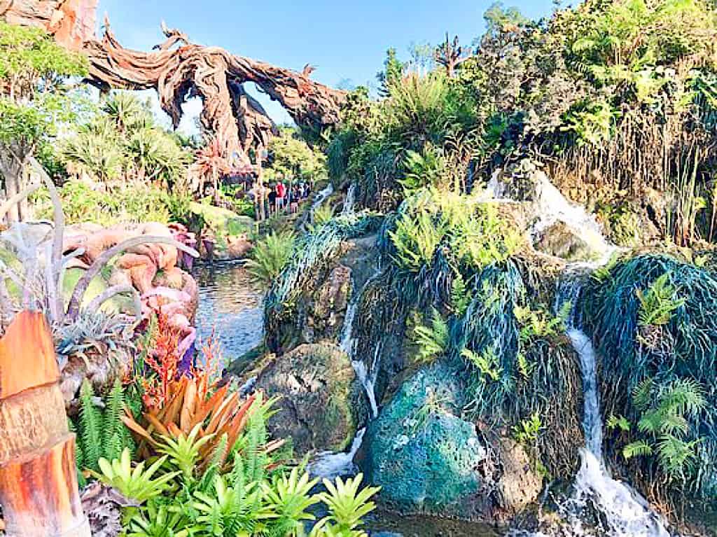 Disney World in December - The Mommy Mouse Clubhouse