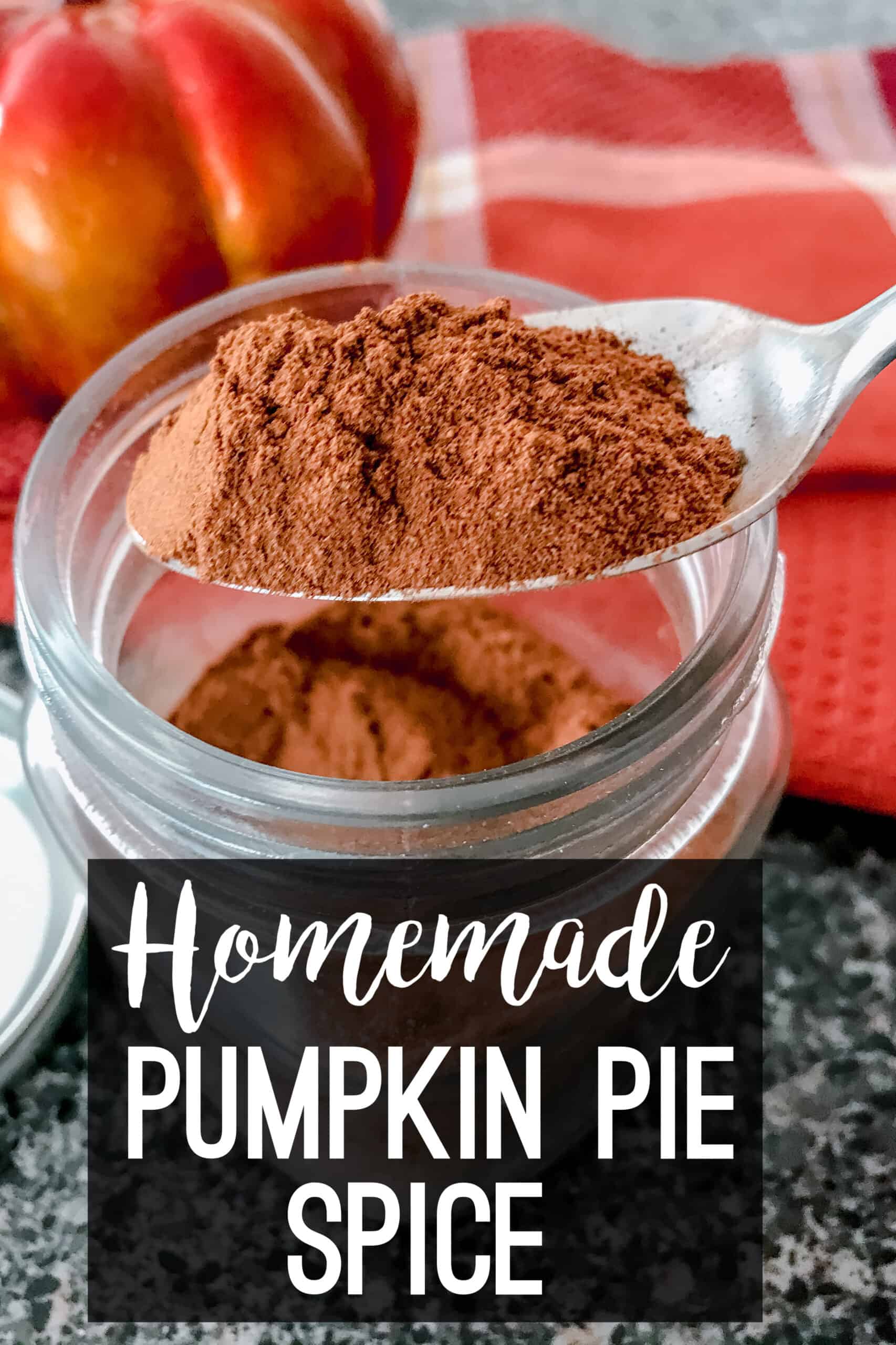 Homemade Pumpkin Spice - The Mommy Mouse Clubhouse