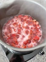 Homemade Raspberry Syrup - The Mommy Mouse Clubhouse