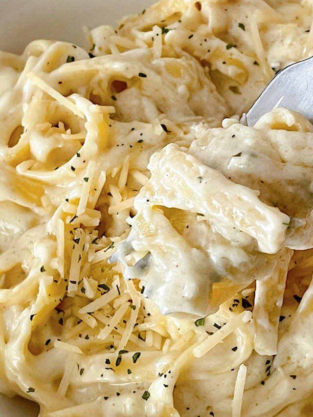 Olive Garden Alfredo Sauce Recipe - The Mommy Mouse Clubhouse