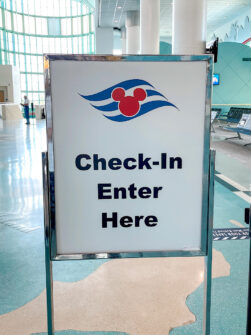 Step-by-Step Guide to Online Check-In for a Disney Cruise - The Mommy ...