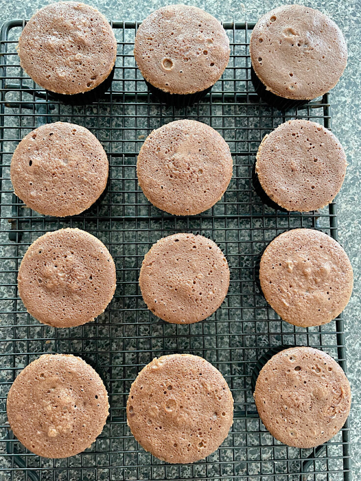 S'mores Cupcakes with Graham Cracker Frosting - The Mommy Mouse Clubhouse