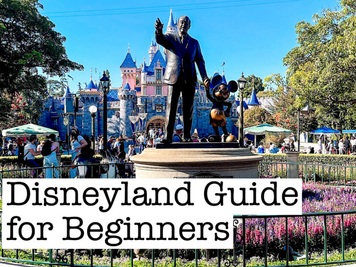 A Disneyland Guide for Beginners - The Mommy Mouse Clubhouse