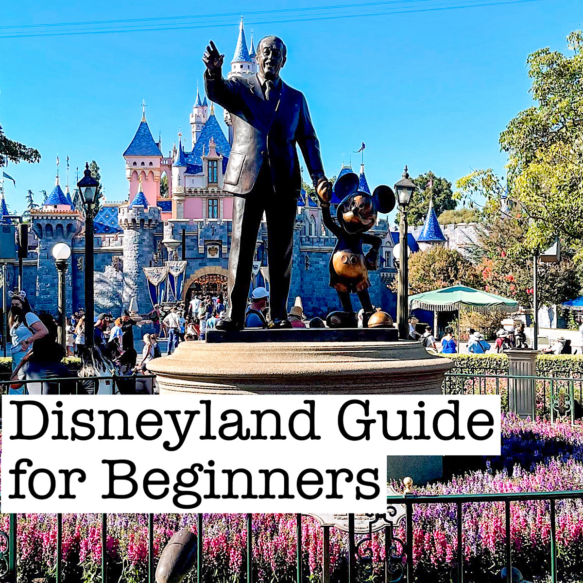 A Disneyland Guide for Beginners - The Mommy Mouse Clubhouse