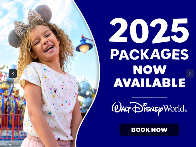 Tips for Grocery Delivery at Disney World - The Mommy Mouse Clubhouse