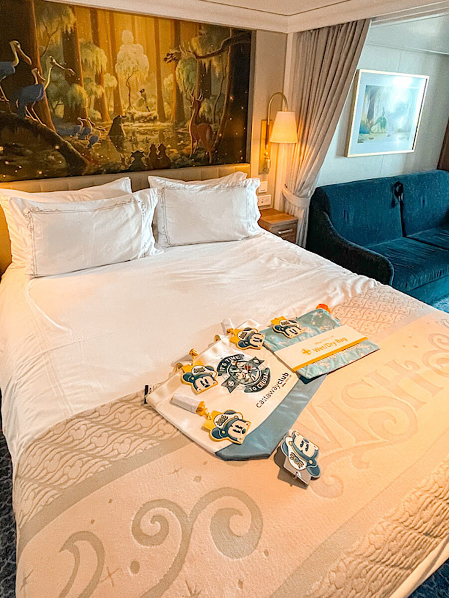 Step-by-Step Guide to Online Check-In for a Disney Cruise - The Mommy ...